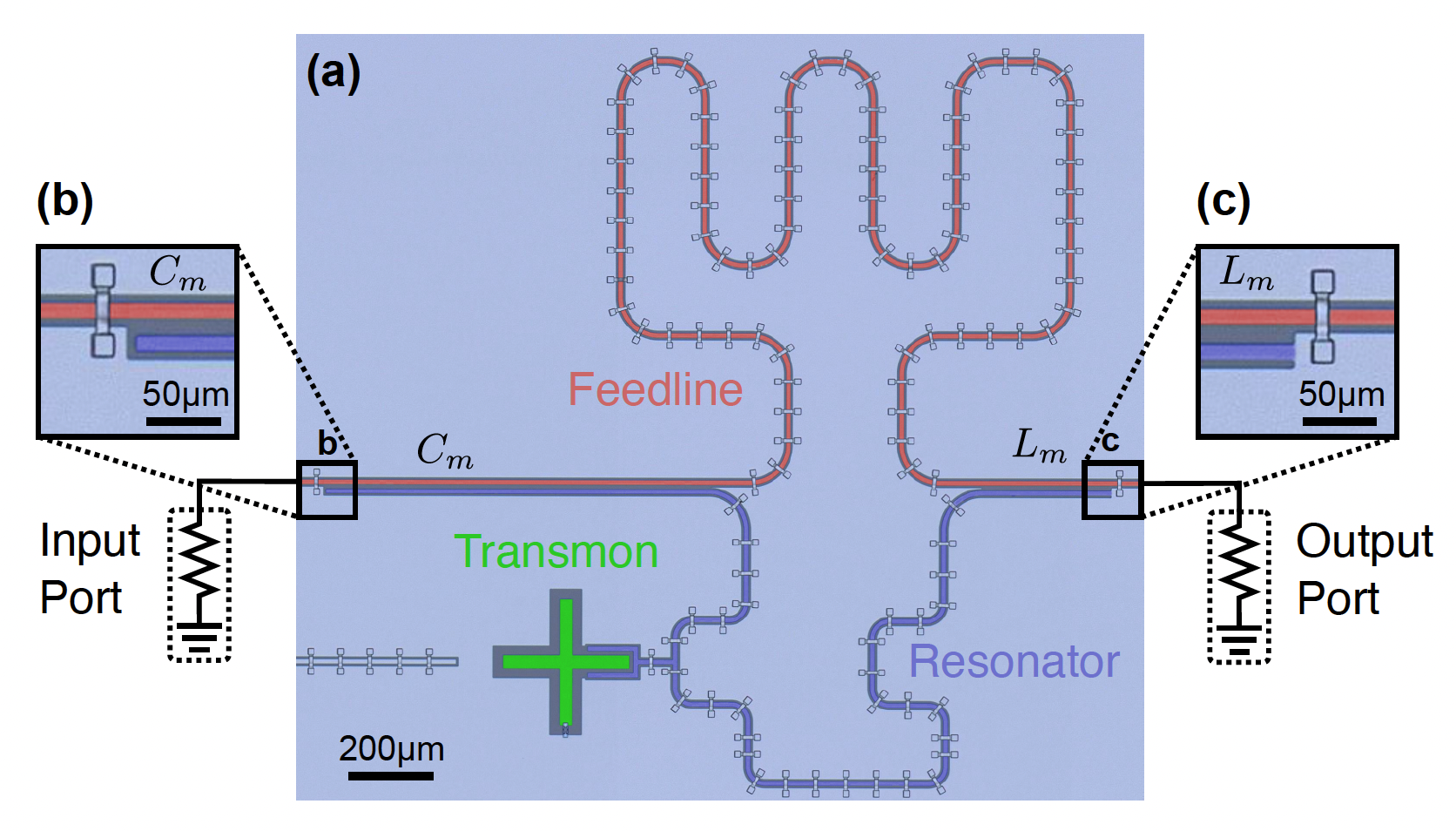 Interferometric Purcell suppression of spontaneous emission in a ...